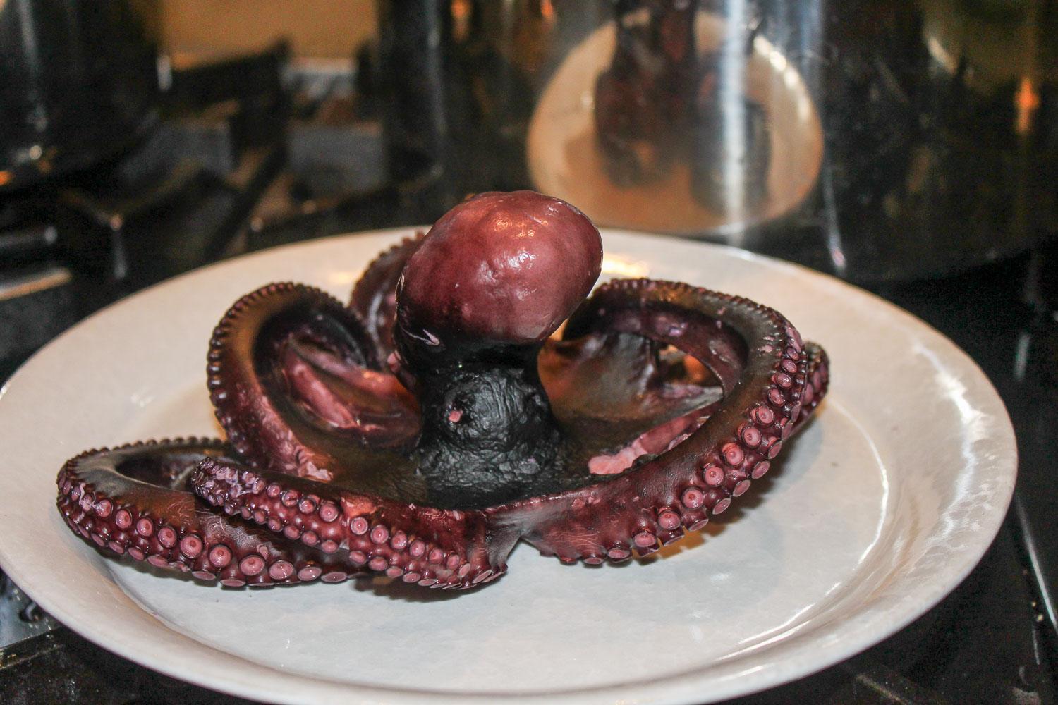 Grilling Octopus at Home - Wide Angle Adventure