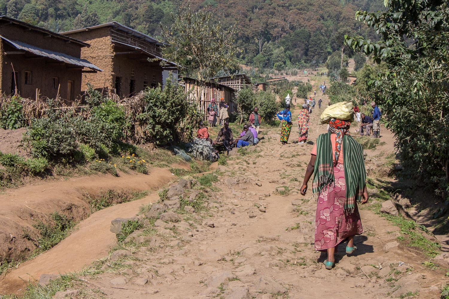 Climbing Mt Bisoke, Volcanoes Natl Park, Rwanda - Wide Angle Adventure