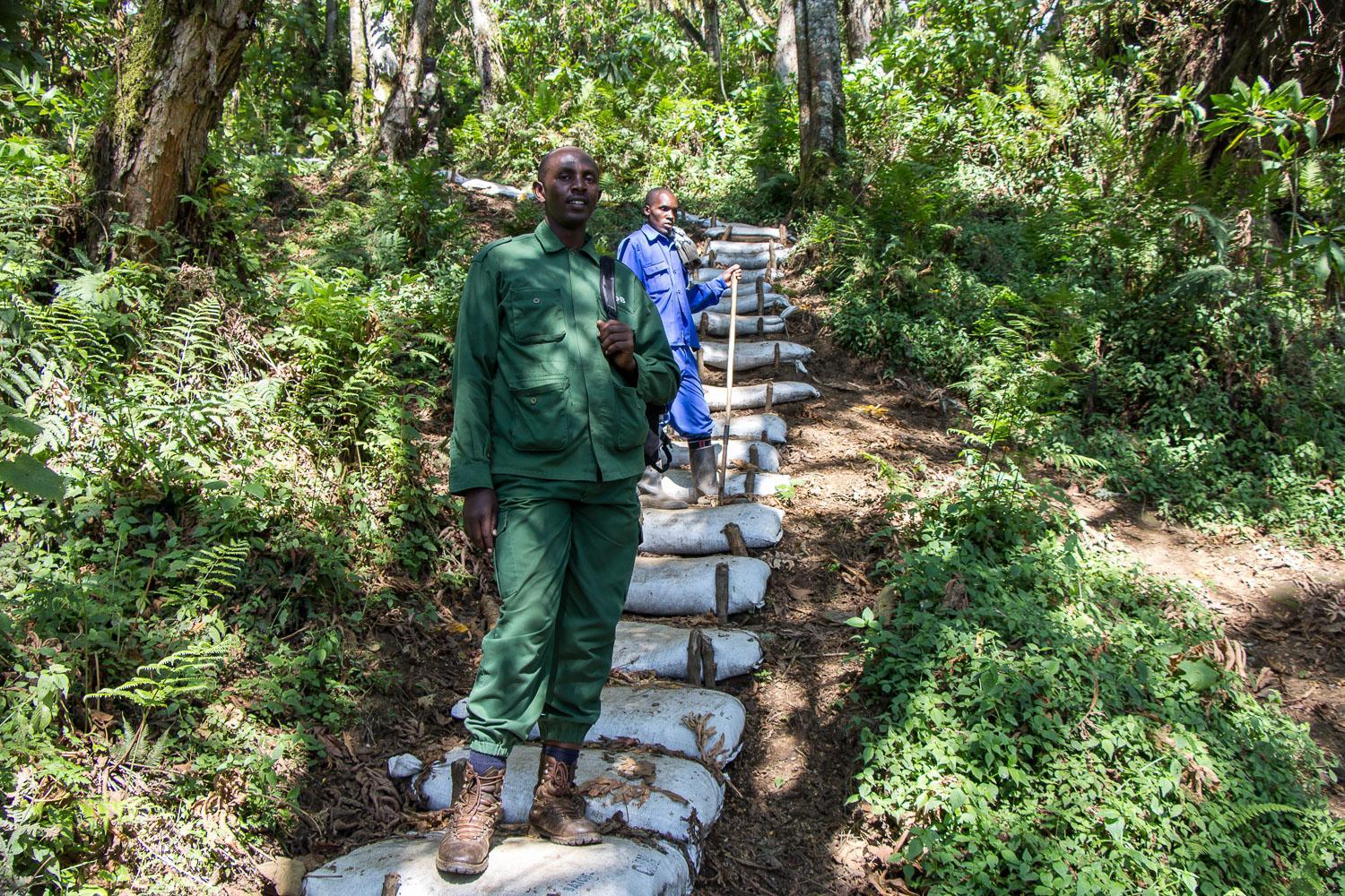 Climbing Mt Bisoke, Volcanoes Natl Park, Rwanda - Wide Angle Adventure