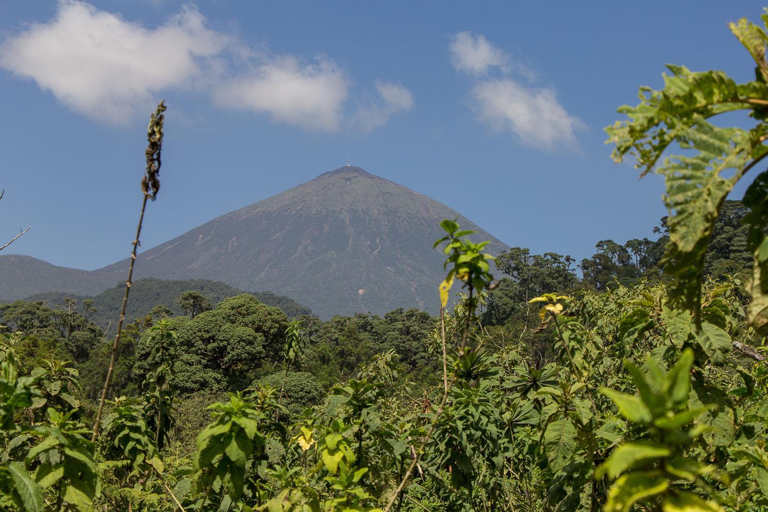 Climbing Mt Bisoke, Volcanoes Natl Park, Rwanda - Wide Angle Adventure
