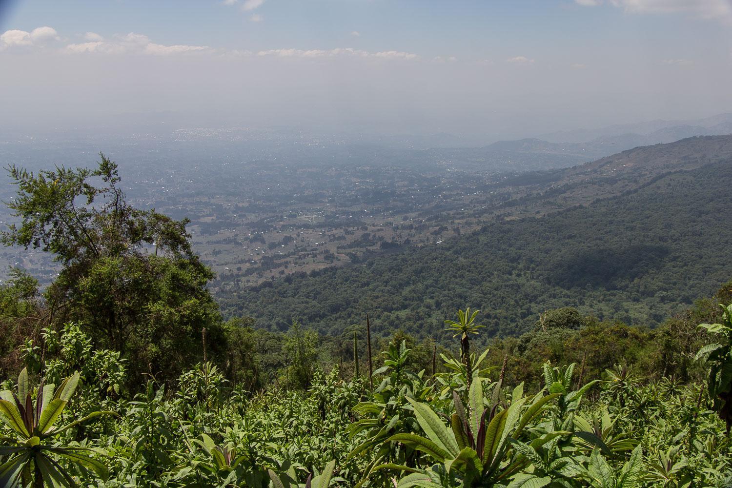 Climbing Mt Bisoke, Volcanoes Natl Park, Rwanda - Wide Angle Adventure