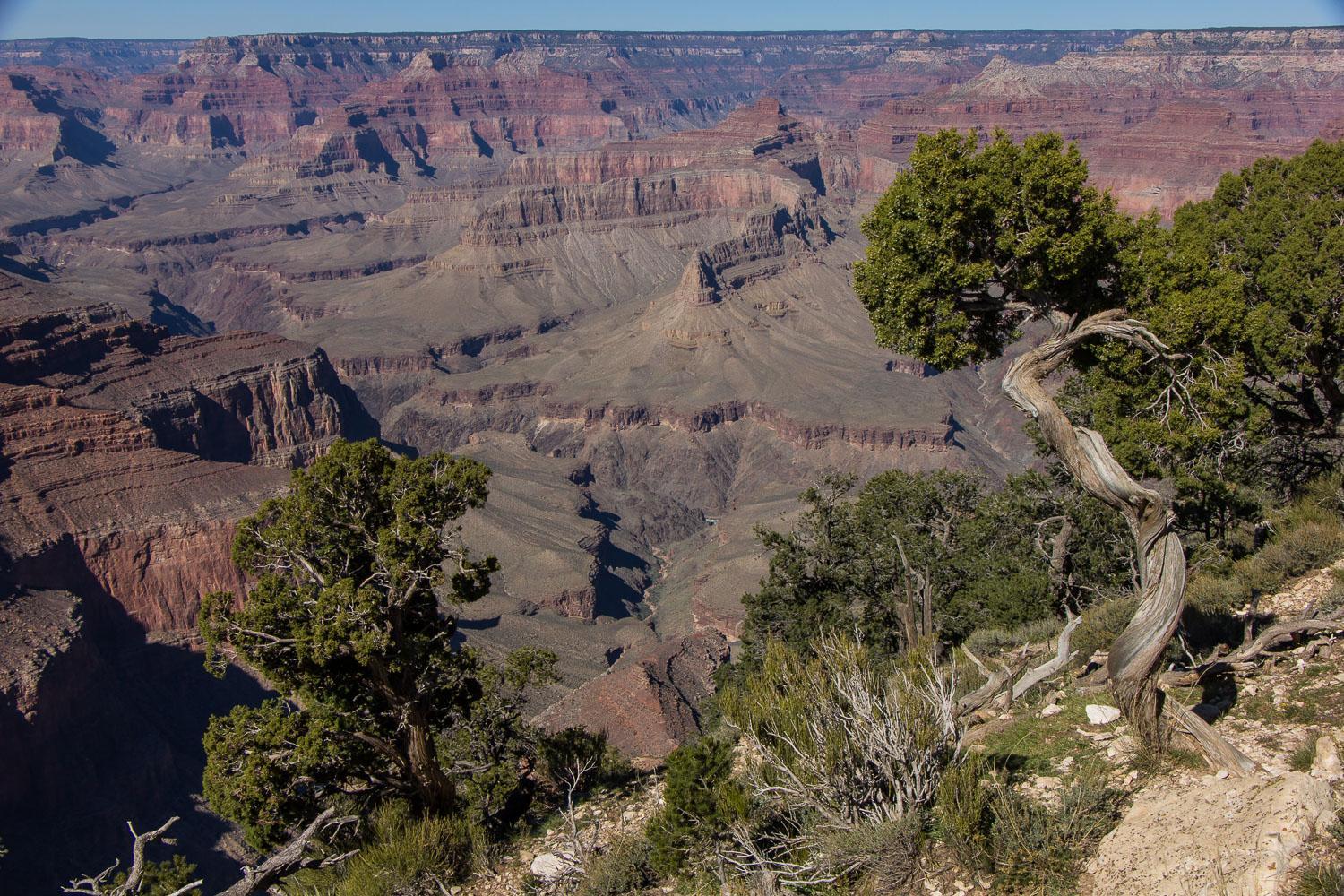 Grand Canyon: The Ascent - Hermit Creek to Hermits Rest - Wide Angle ...
