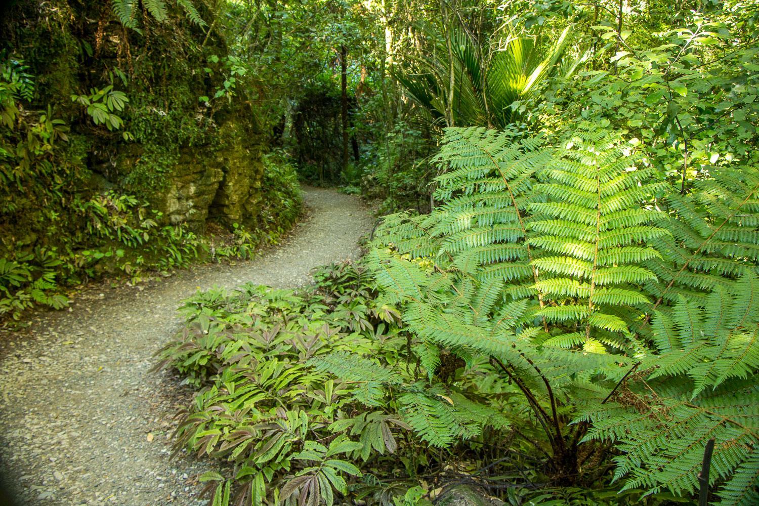 Staying the Night in Waitomo Village, New Zealand - Wide Angle Adventure