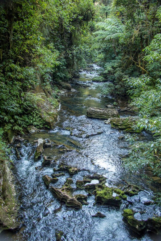 Staying the Night in Waitomo Village, New Zealand - Wide Angle Adventure