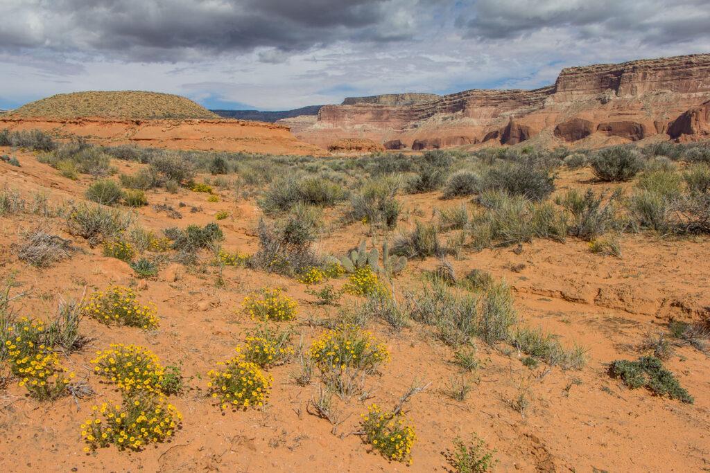 Houseboating on Lake Powell - Rock Creek Bay to West Canyon, AZ/UT ...