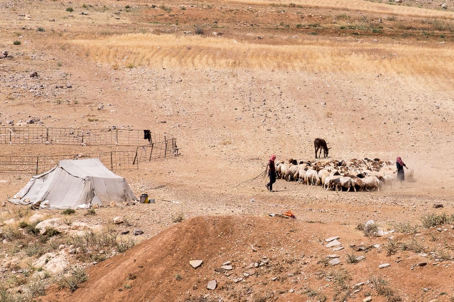 Chalet: Mujib Biosphere Reserve, Dead Sea, Jordan - Wide Angle Adventure